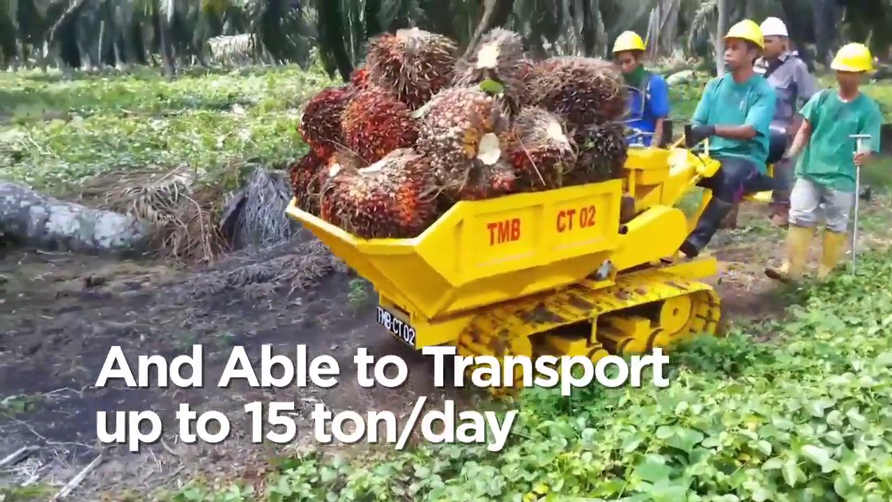 FASTREX CT 02 - Mini Transporter Angkut Sawit dan Logistik - YouTube