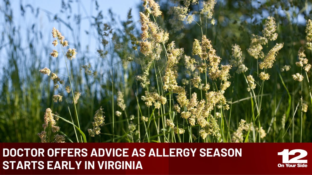 Allergy season hits Virginia early - YouTube