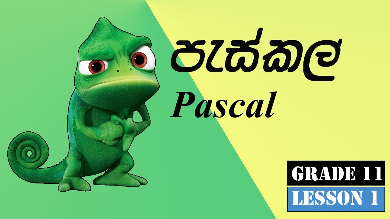 Ol Ict Grade 11 Pascal Programming Basic Tutorial Lesson 01 Sinhala 9998