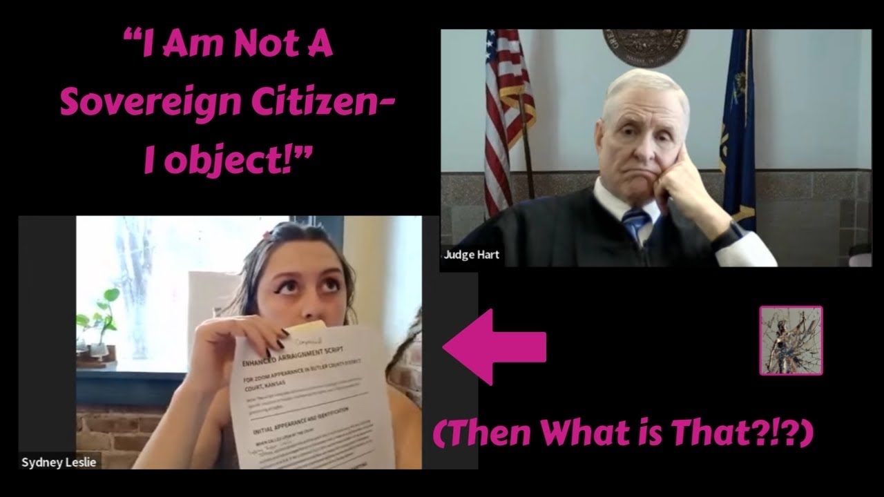 Objects to Being Called a SovCit While Reading the SovCit Script 🤦‍♀️ ...