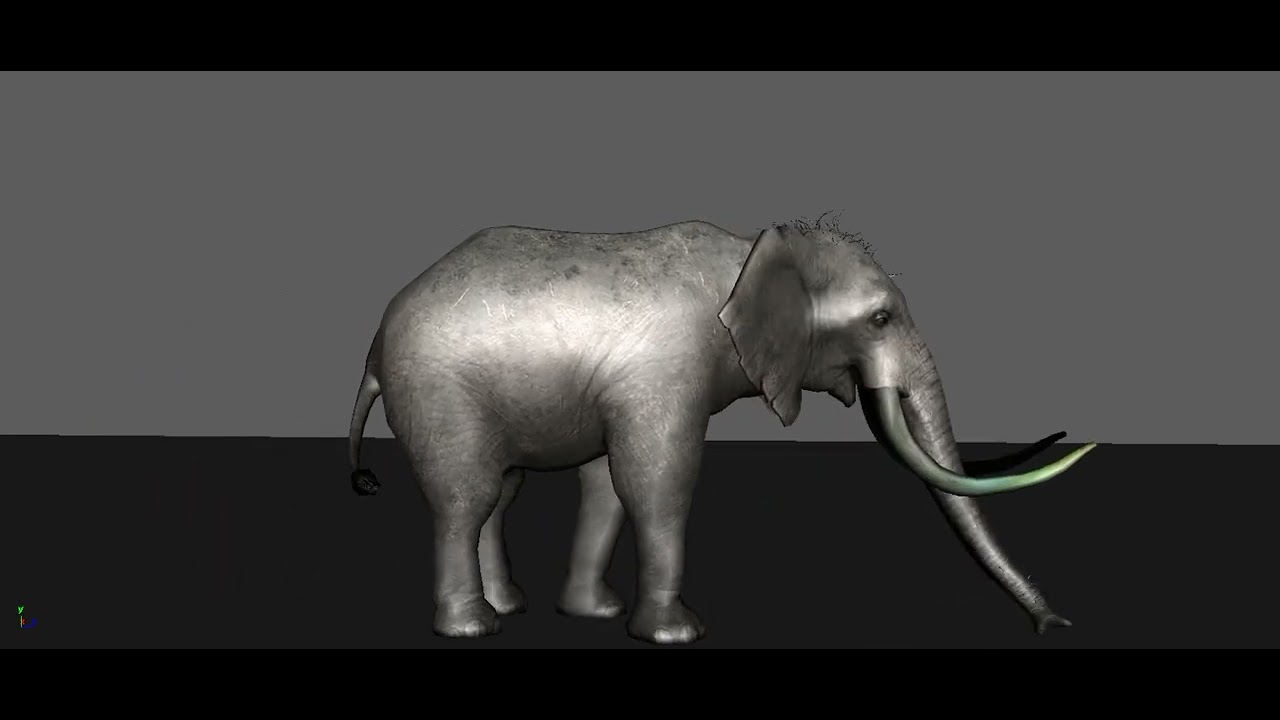 Trunking around Elephant - YouTube