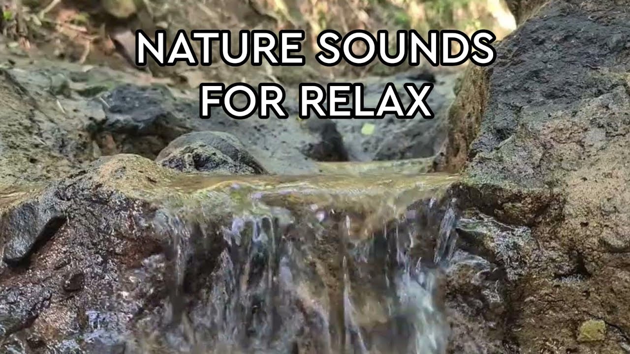 Very Soft, 3 Hours Nature Sounds For Relax, Sleep, Healing And ...