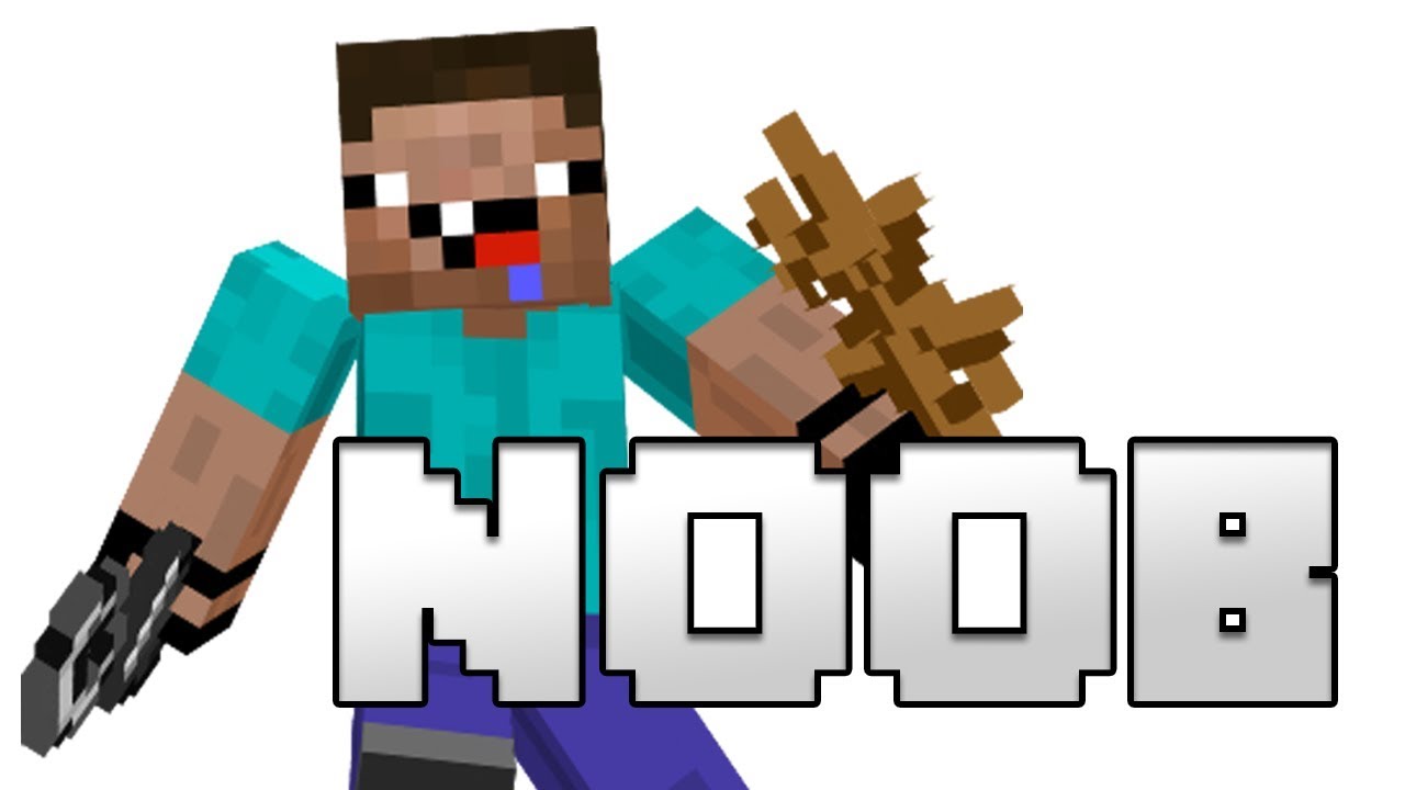 Minecraft Noob Photo