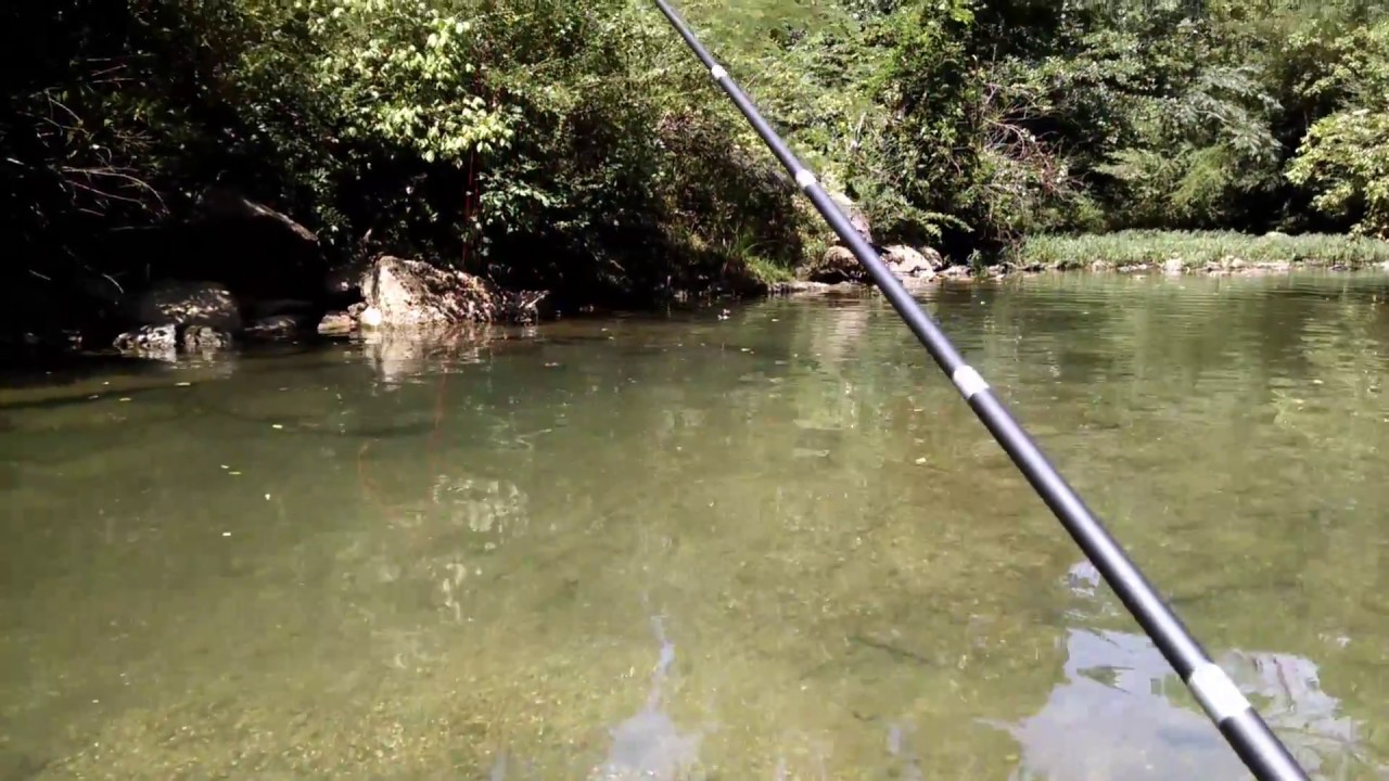 Traditional Japanese Tenkara Fly Fishing - YouTube