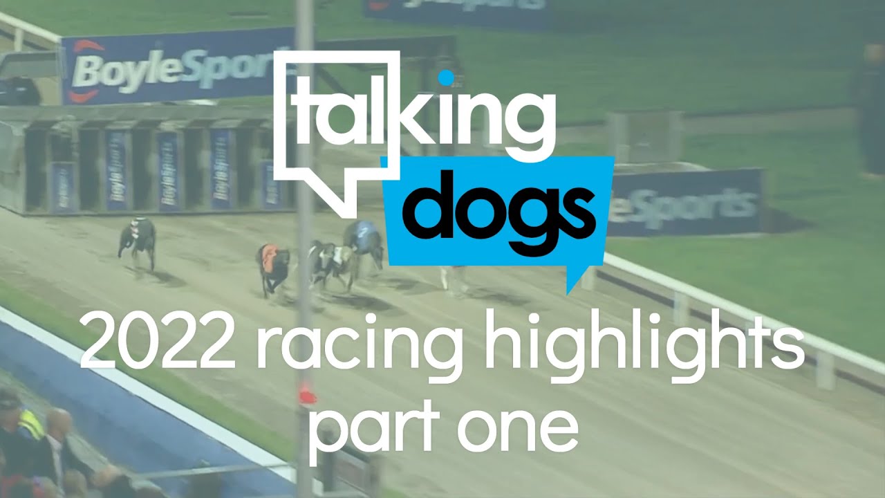 2022 Irish Greyhound Racing Highlights Part 1 - YouTube
