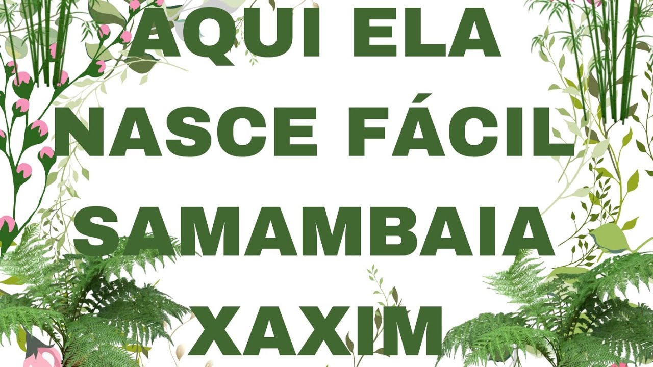 como cuidar da samambaia xaxim adubação#rega#cuidados - YouTube