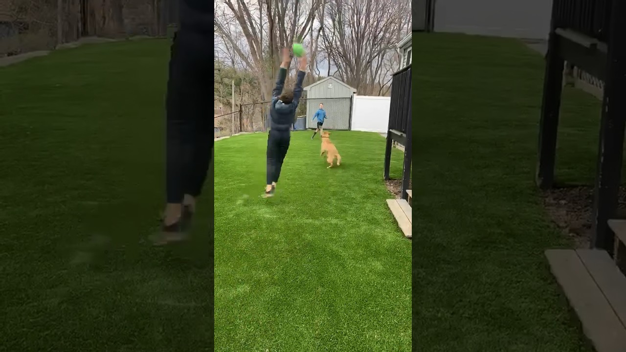 Dig-out, base build, turf, PLAY! Mud free. Clean and green #artificial ...