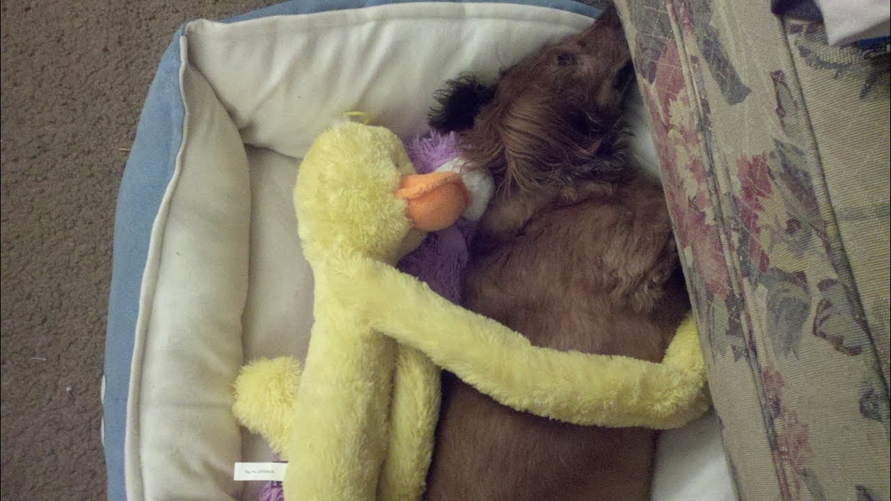 Here we go again! Round 5! Group Mix of Tix! - YouTube