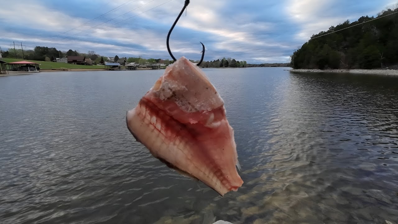 Fishing With Catfish Candy At New Spots! - YouTube