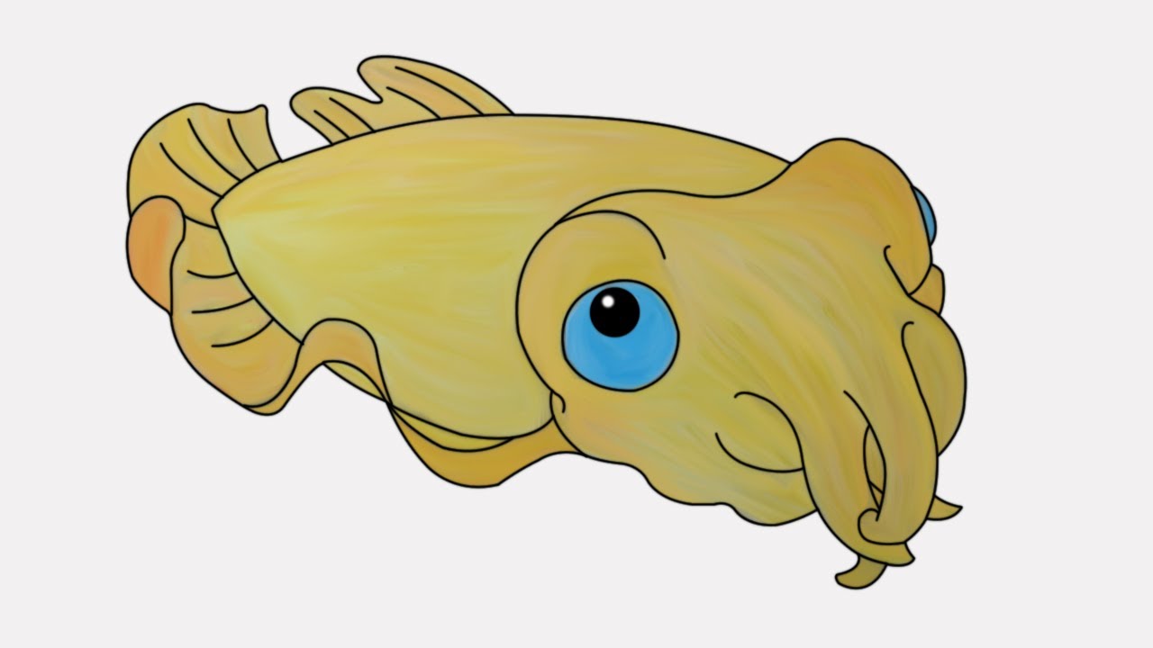 Cute Cuttlefish Drawing