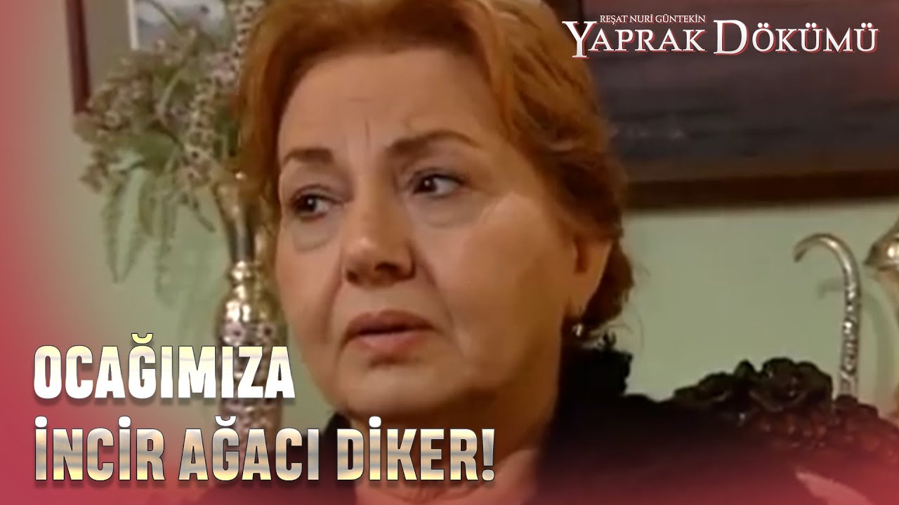 Hayriye, Ferhunde ve Fikret Arasındaki Gerilimi Durdurabilecek Mi? - Yaprak Dökümü Özel Bölüm ...
