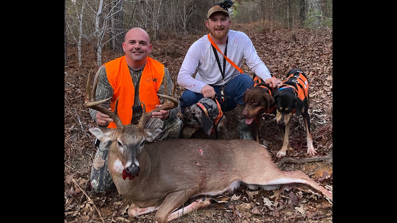 Alabama deer track recovery!! - YouTube