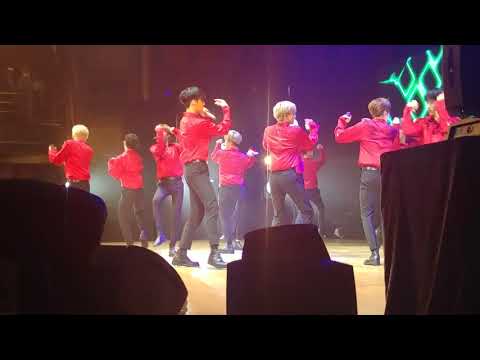 Seventeen - Crazy in Love