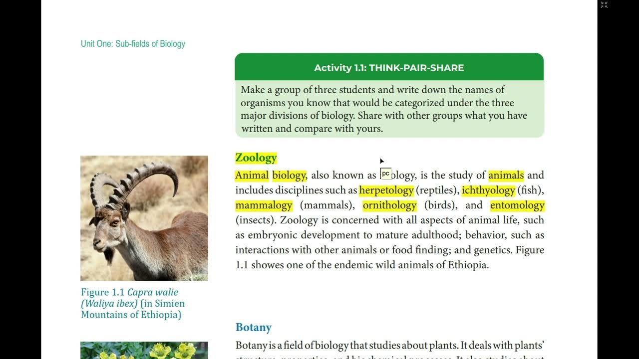 10ኛ ክፍል ባዮሎጂ New Grade 10 Biology Unit 1 Part 1 - YouTube