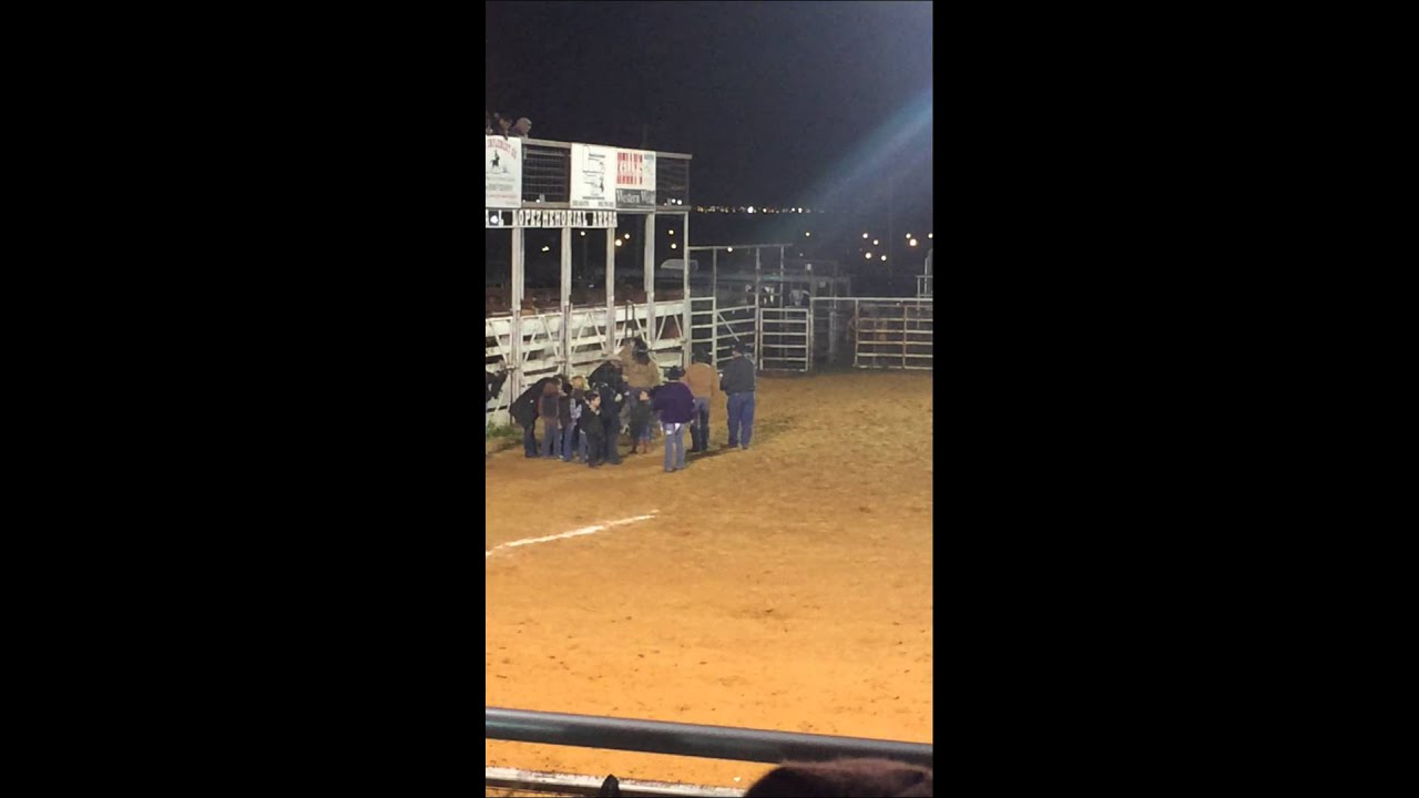 Reverse Cowboy 2015 (Miniature Bull Riding) - YouTube