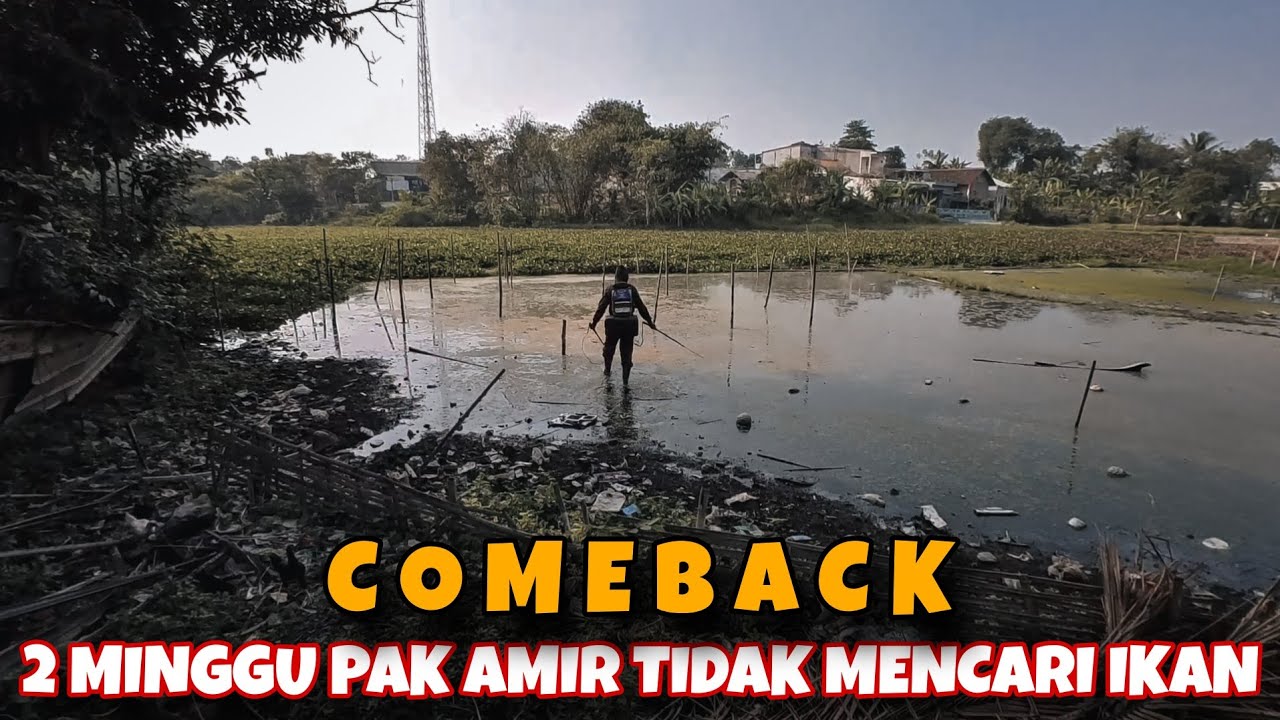 PAK AMIR COMBACK MENCARI IKAN KE RAWA..!!! - YouTube