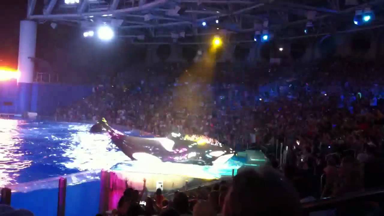 Sea World: Shamu Rocks Show : Part 8 - YouTube