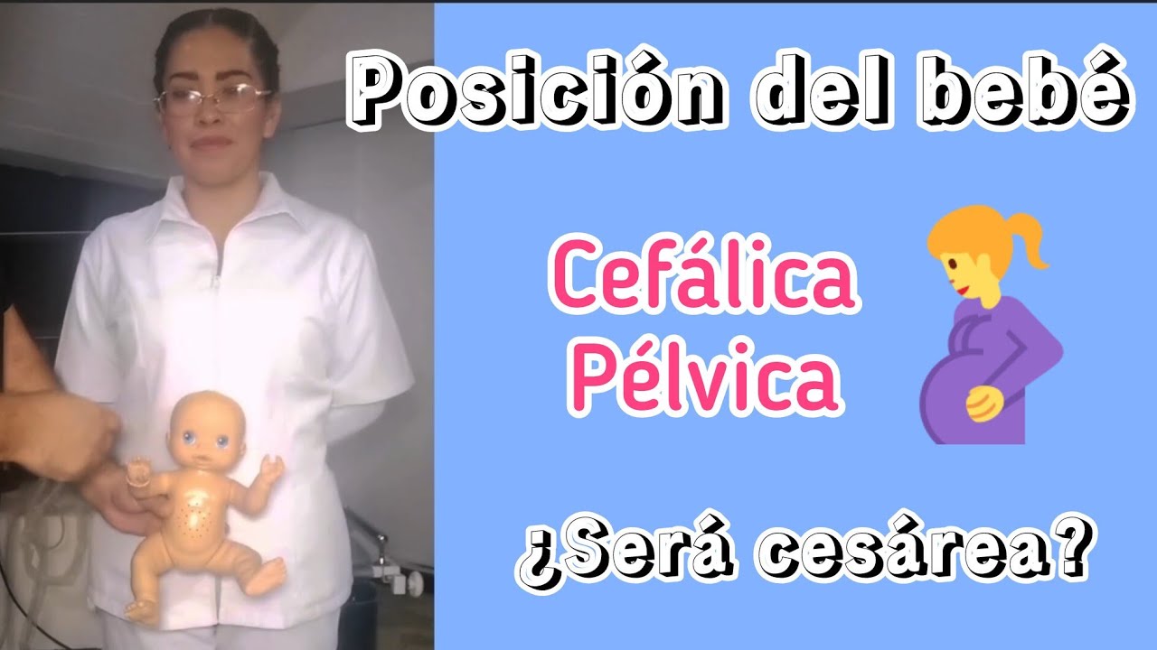 POSICIÓN DEL BEBÉ EN EL EMBARAZO pélvico, cefálico, trans verso. ¿SERÁ ...