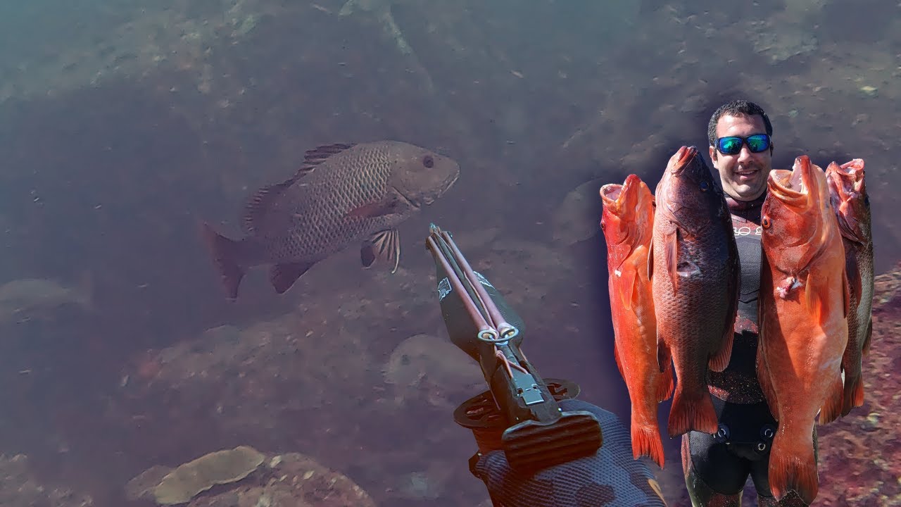 Monster Trout! Big Jacks! Best day Spearfishing EVER! - YouTube