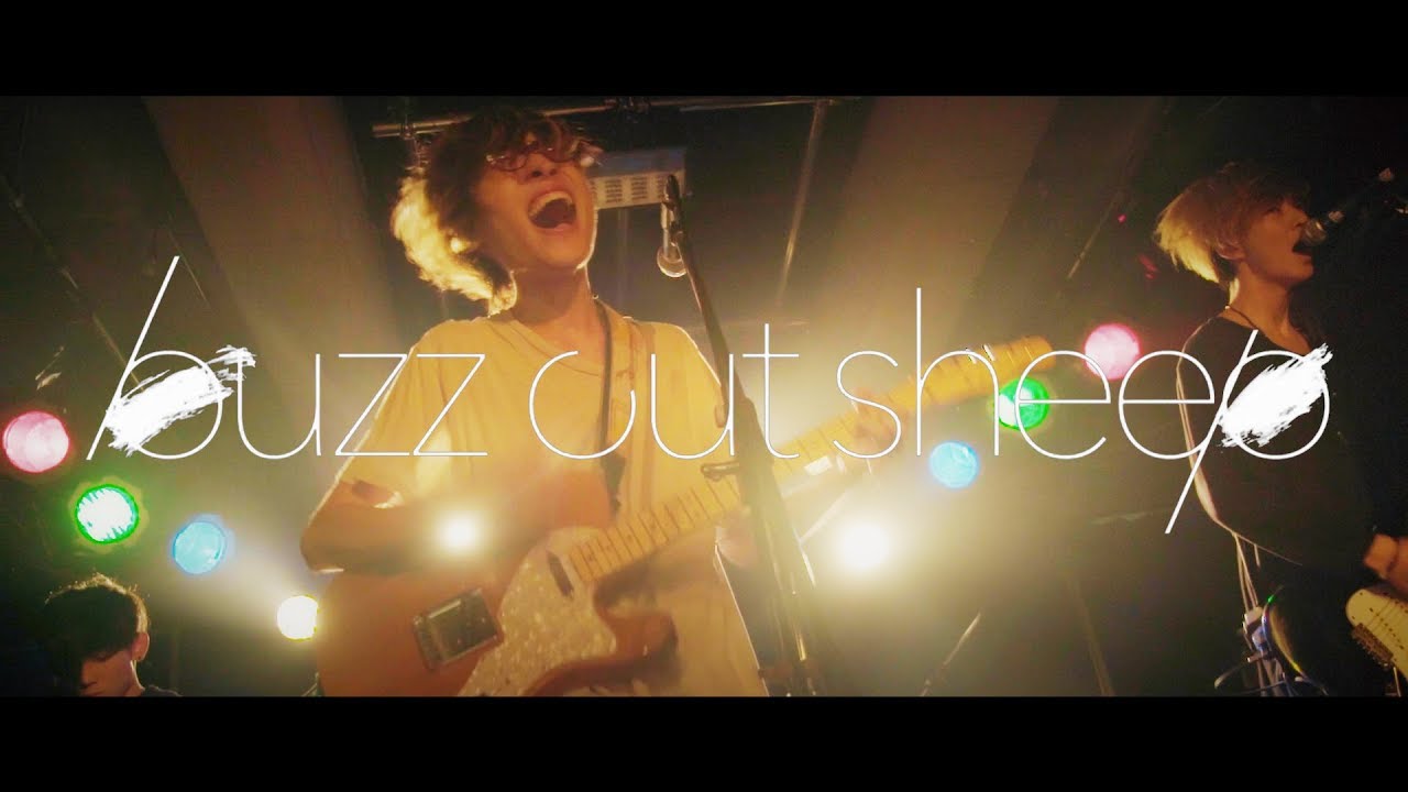 《LIVE VIDEO》花のように/Buzz cut sheep - YouTube