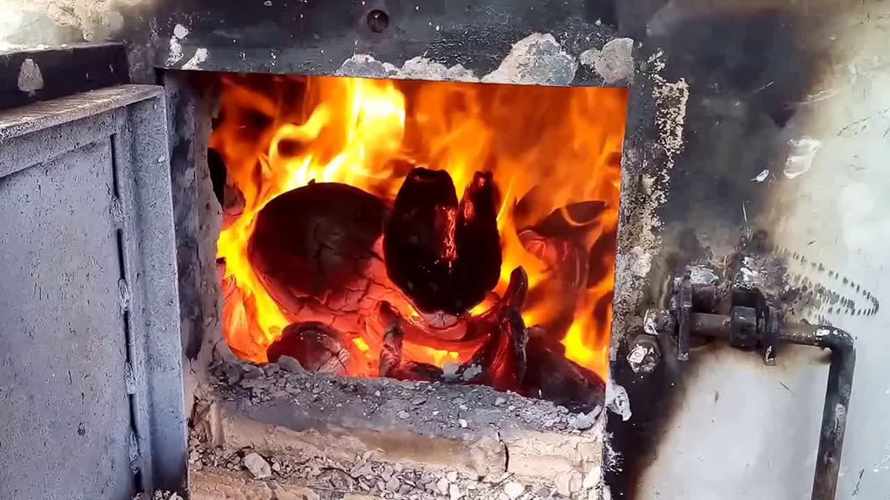 Newtech Copra dryer - YouTube