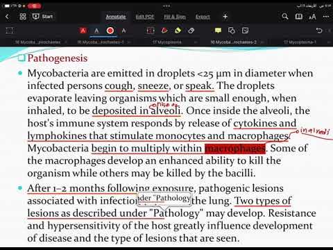 Micro - lecture 16 part 2 - Doctor Hazem - YouTube
