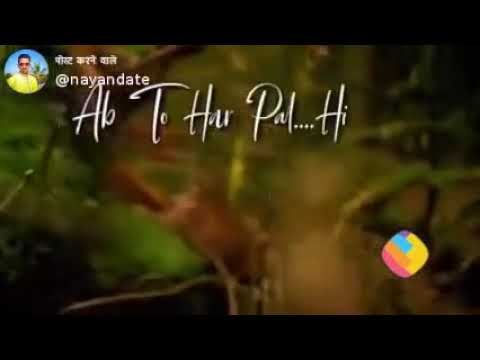 Nice Status in Sher chat..😍😍😍😍🙏🙏🙏🙏♥️♥️♥️ #Harshit.. - YouTube