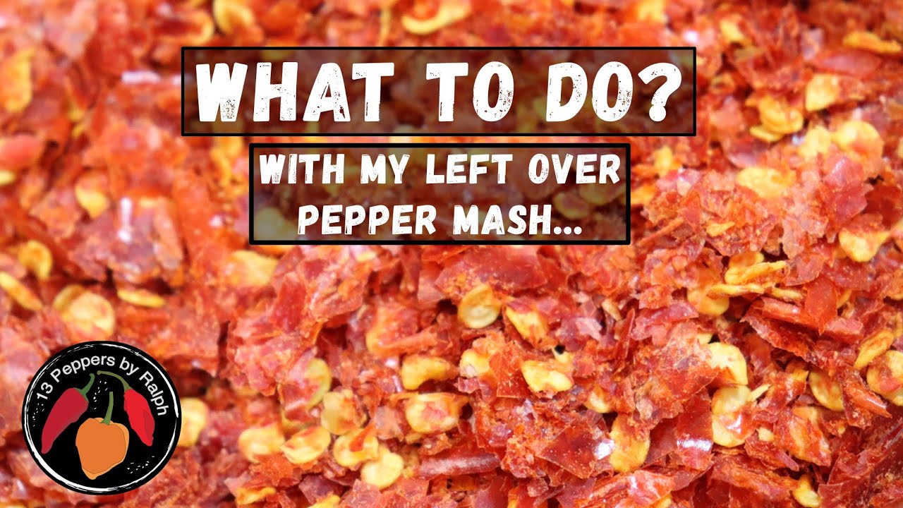 What to do with your Pepper Mash! - YouTube