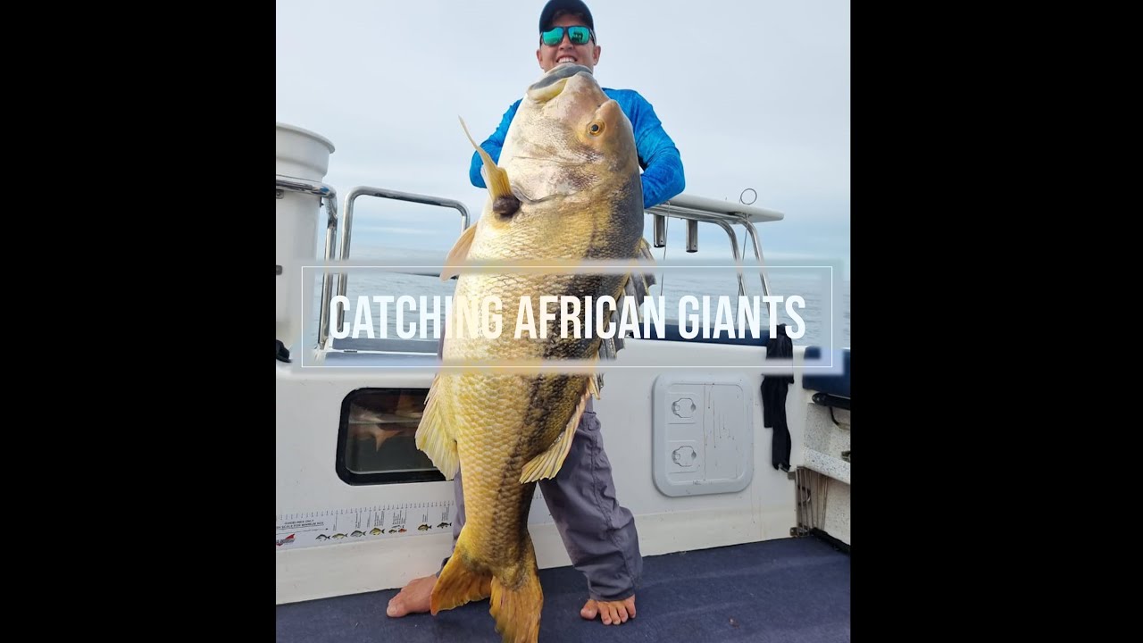 Big Fish South Africa - YouTube