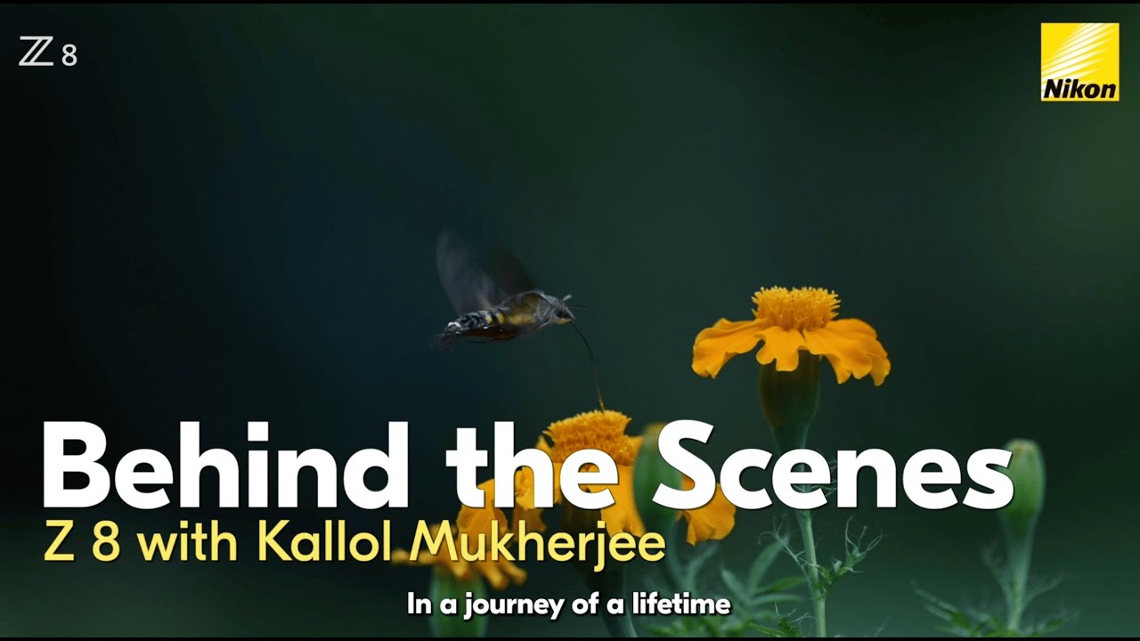 Behind The Scenes: Z 8 with Kallol Mukherjee - YouTube