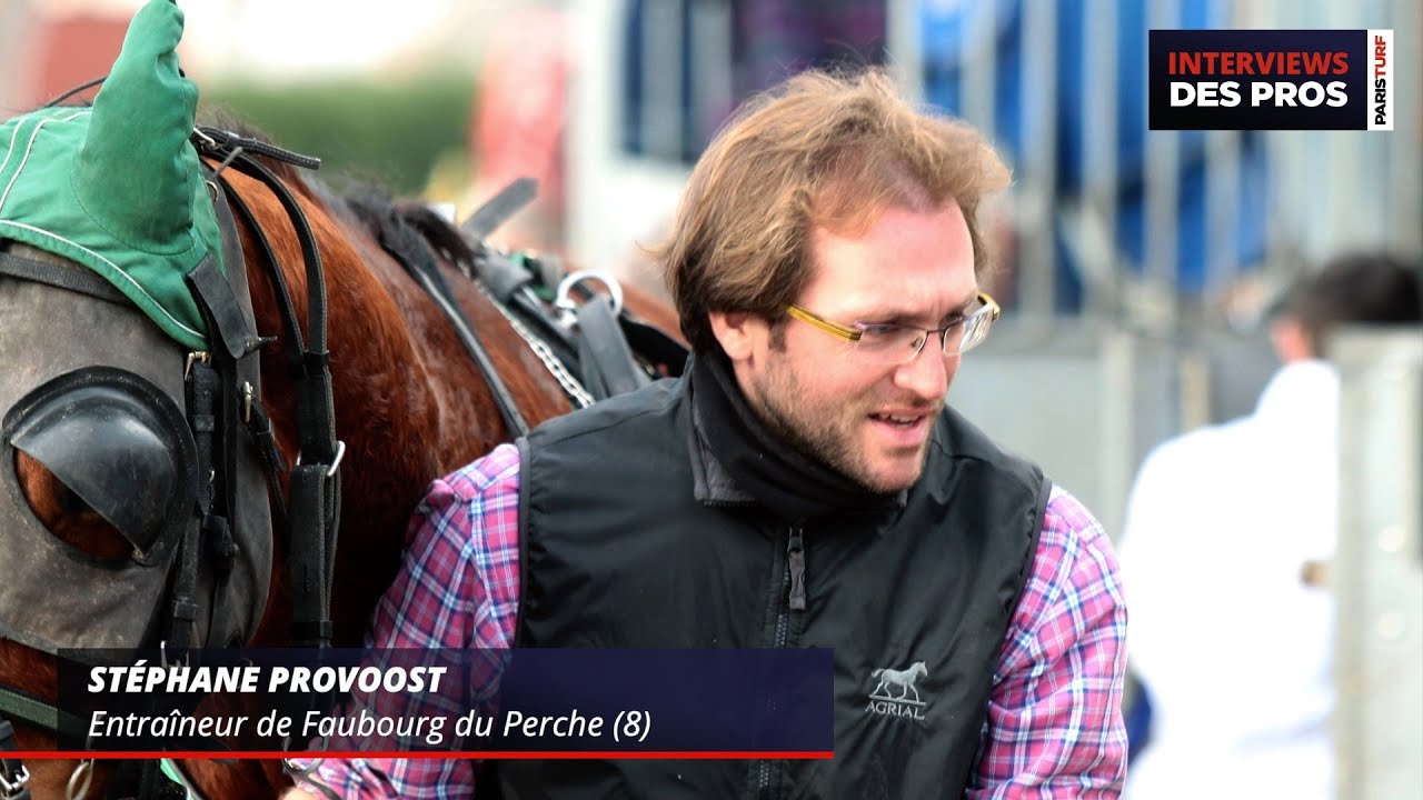 STÉPHANE PROVOOST | ENTRAÎNEUR DE FAUBOURG DU PERCHE | QUINTÉ DU MARDI ...