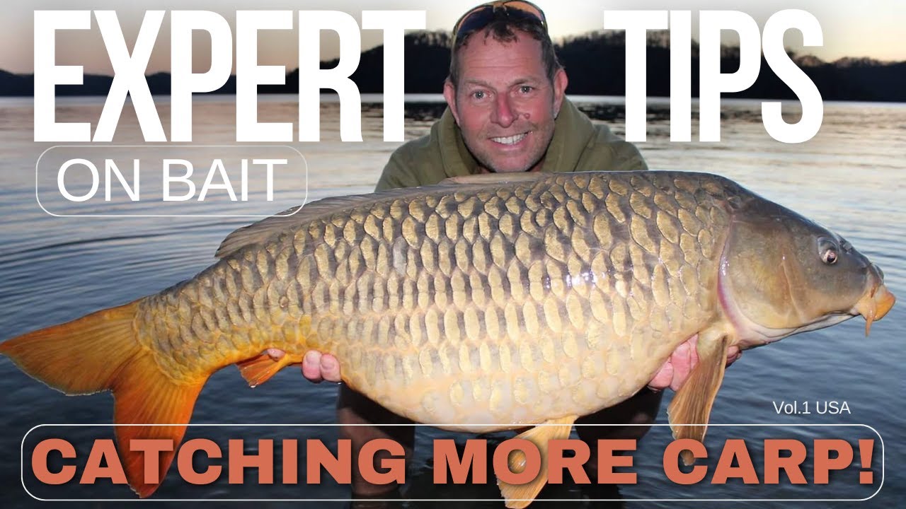 Expert Tips for Catching More Carp! - YouTube