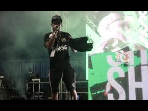 Shy FX with Mc Skibadee Live @ BodyRoc 2001 - YouTube