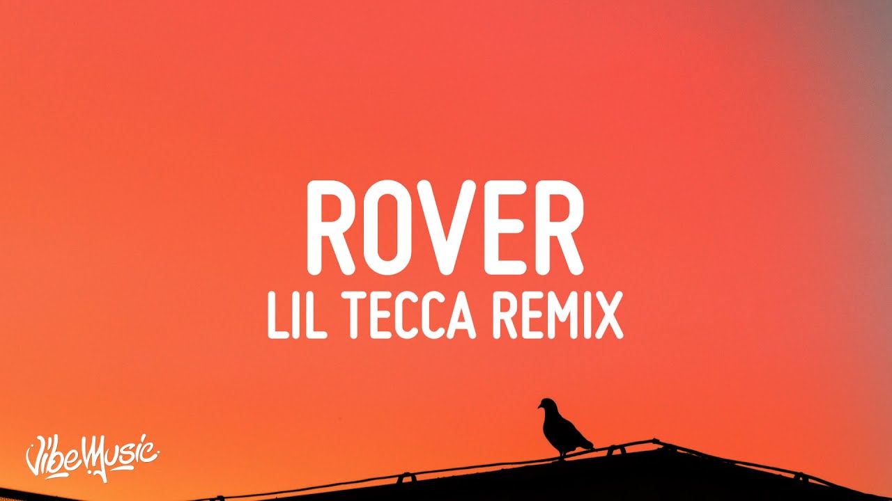 S1MBA - Rover Remix (Lyrics) (feat. Lil Tecca) - YouTube