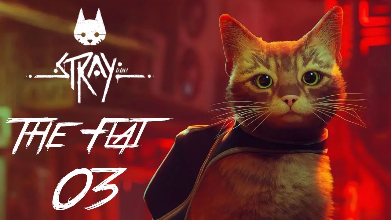 STRAY [Chapter 3: The Flat] - YouTube