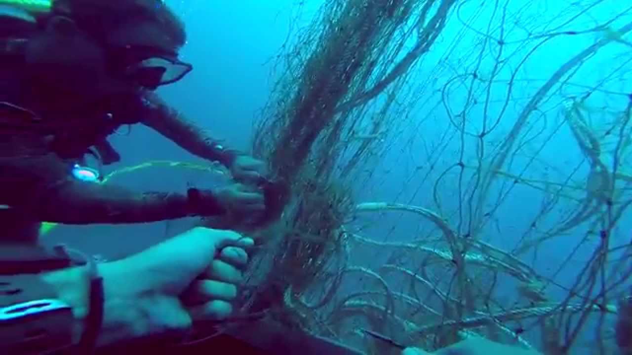 Net retrieval - RARCC & Papua Diving - YouTube
