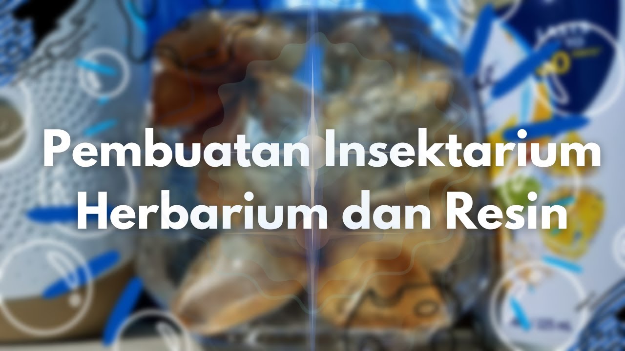 Pembuatan Insektarium, Herbarium dan Resin - YouTube
