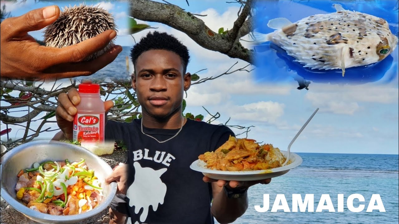 Outdoor Cooking ketchup curry chicken |Soursop fish & Sea eggs | life ...