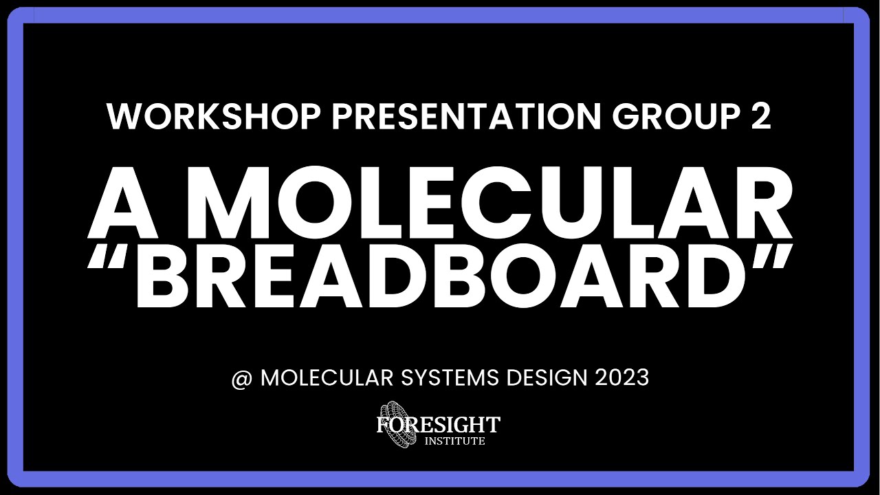 Workshop Presentation Group 2 | A Molecular “breadboard” @ Molecular Systems Design Workshop ...