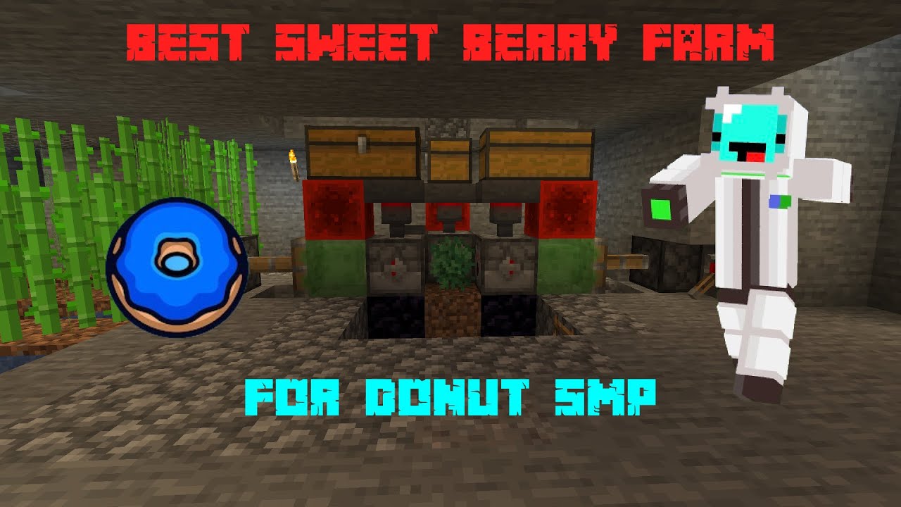 Best Easy Sweet Berry Farm For DonutSMP - YouTube