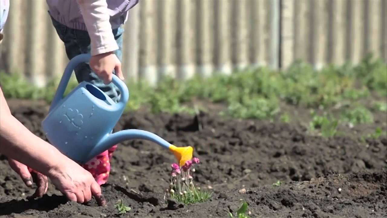 Project Feeding Kids . - YouTube