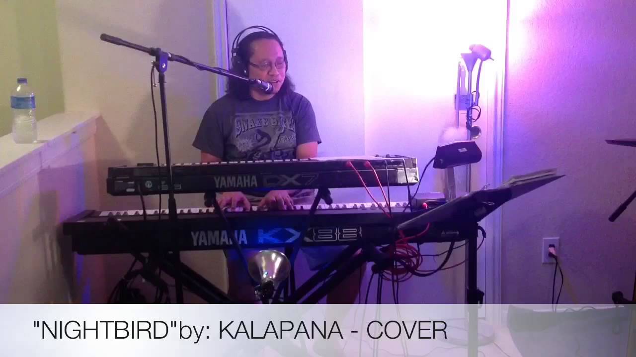 "NIGHTBIRD" by: KALAPANA - COVER - YouTube