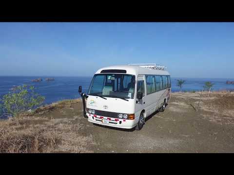 Mini - Bus Toyota Coaster