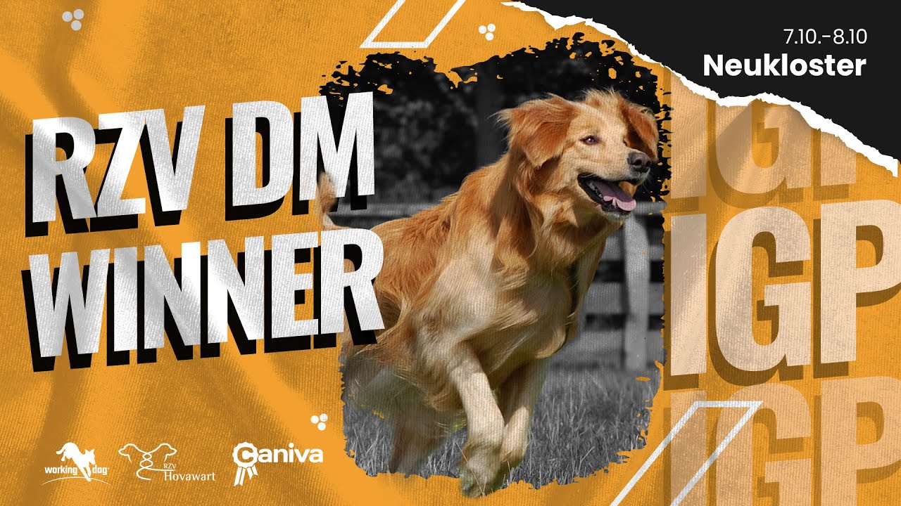 Winner // RZV IGP DM 2023 // working-dog - YouTube