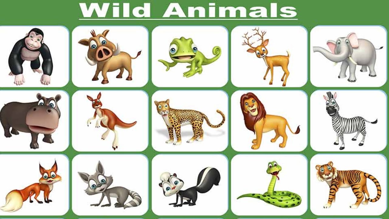 Animals name in english/learn animals name fos kids/wild and domestic ...