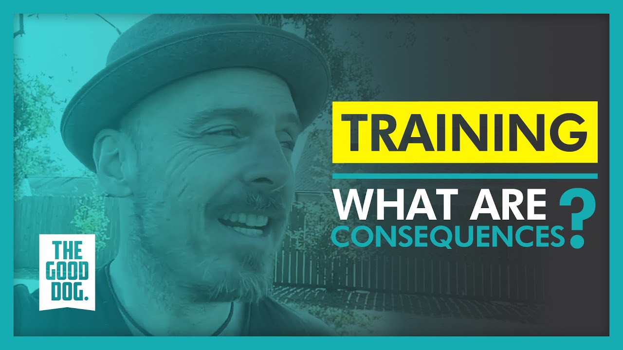 What are consequences? | The Good Dog Training - YouTube