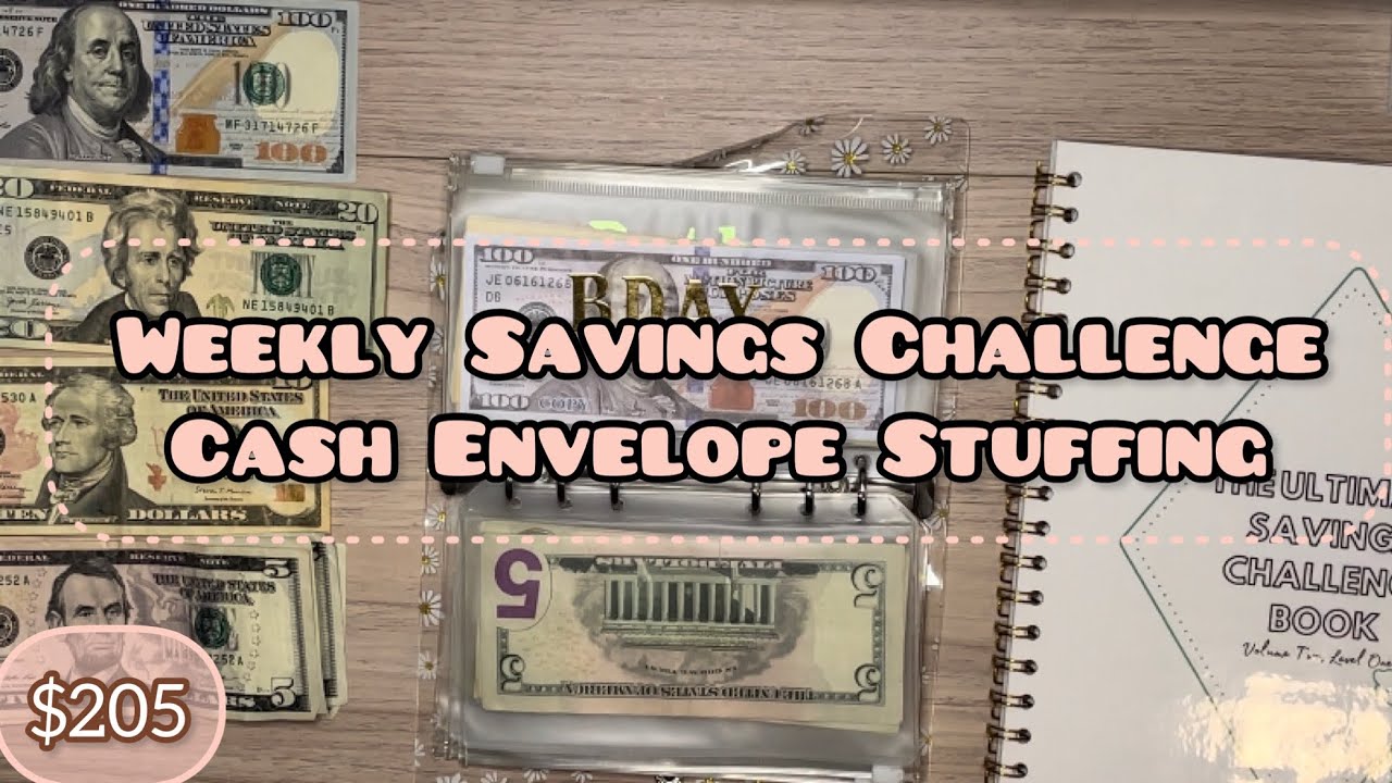 $205 SAVINGS CHALLENGE CASH ENVELOPE STUFFING || LOW INCOME || 22 YEAR ...