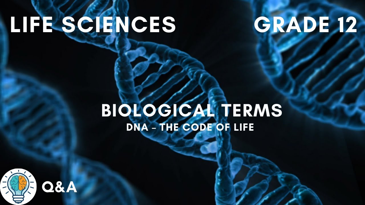 DNA - THE CODE OF LIFE | LIFE SCIENCES | GRADE 12 | BIOLOGICAL TERMS ...