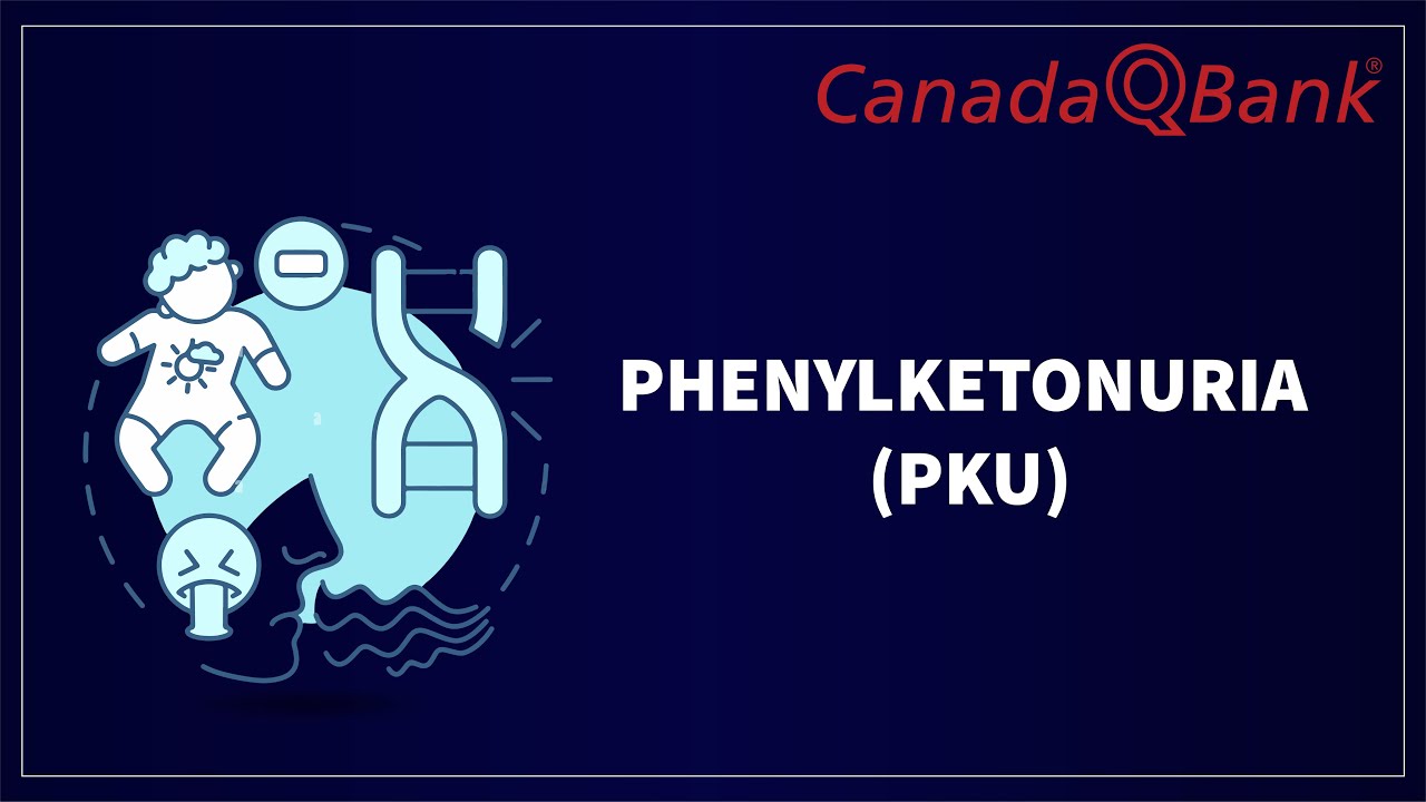 Phenylketonuria (PKU): Genetics, Screening & Management | Inborn Errors ...