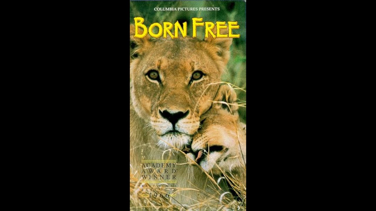 Opening to Born Free 1993 VHS (1999 Reprint, 60fps) - YouTube